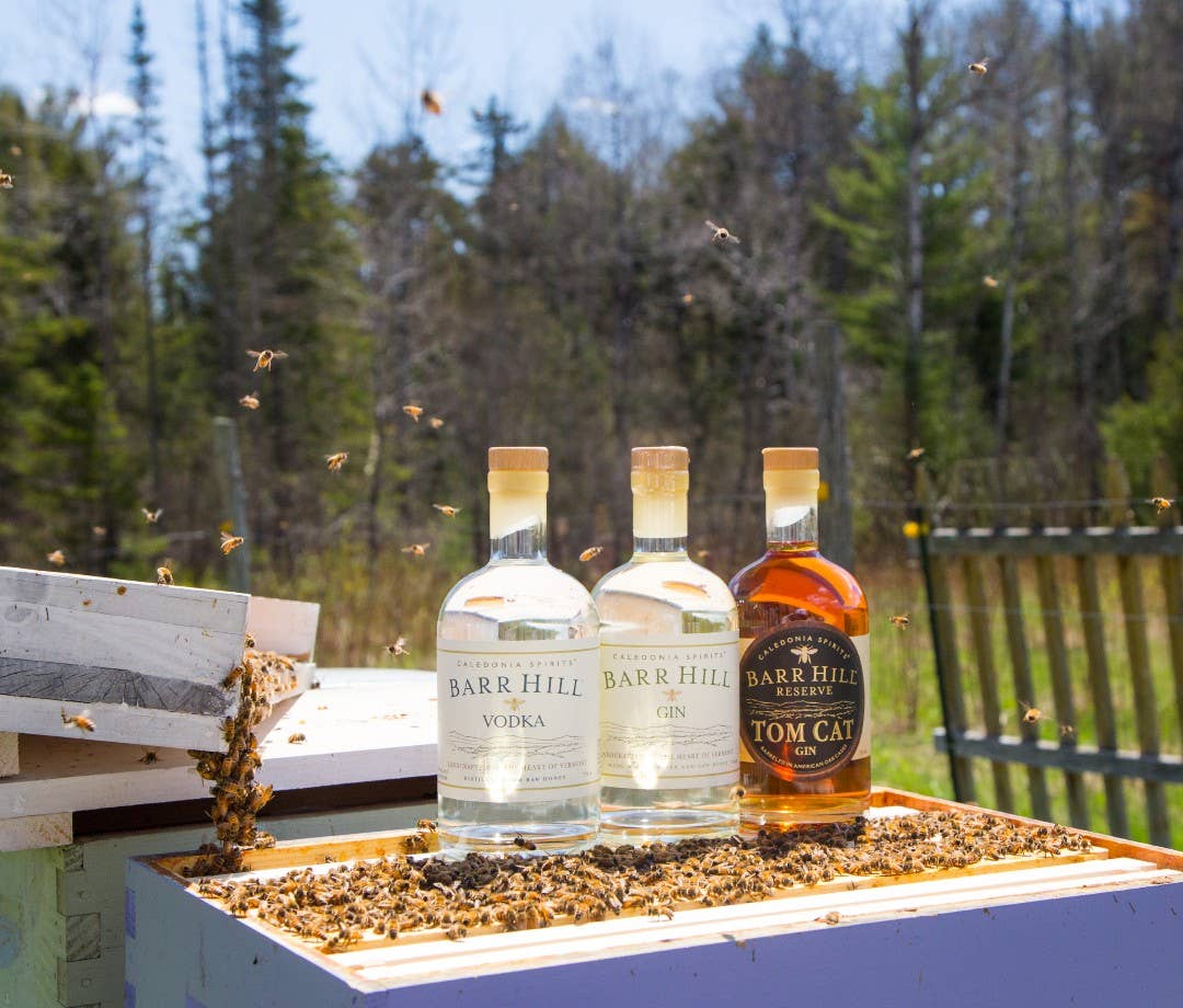 Raw Honey-Infused Spirits Make a Stand for Endangered Bees