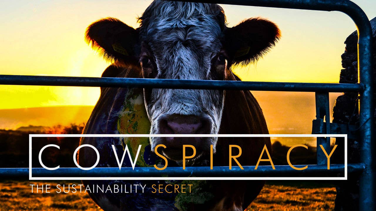 Best Environmental Documentaries Streaming on Netflix Now - Men's Journal
