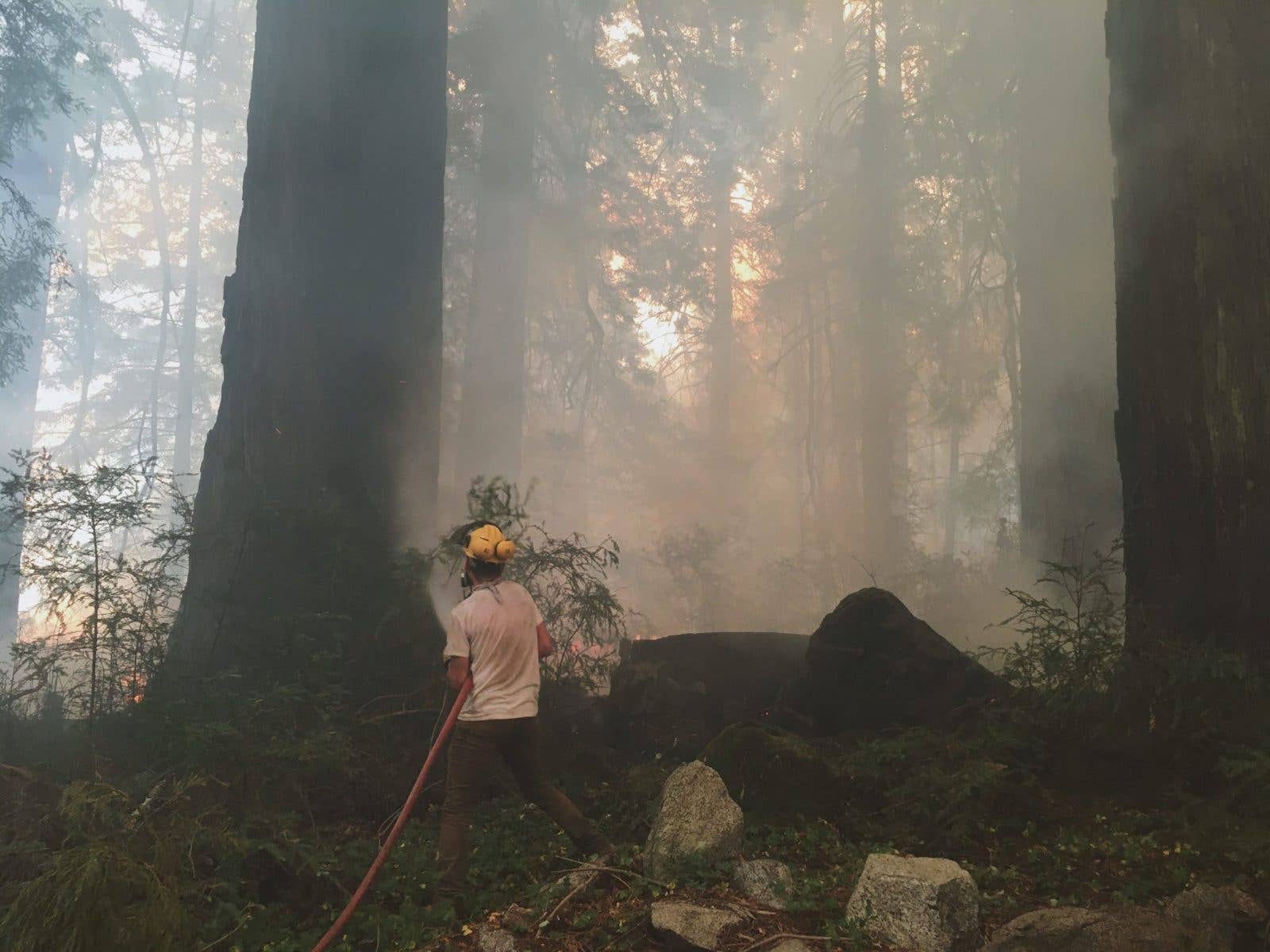 4 Days on the Front Lines of the CZU Fire in Bonny Doon