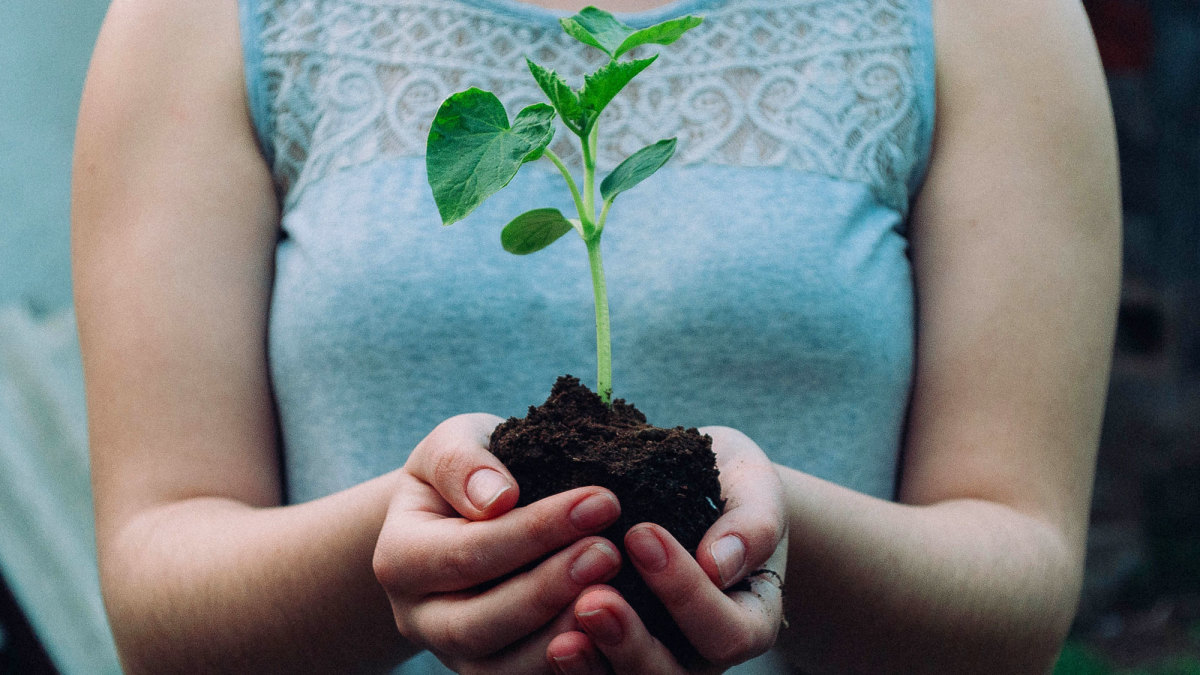 Patagonia Matches $10M in Donations to Support Environmental Orgs