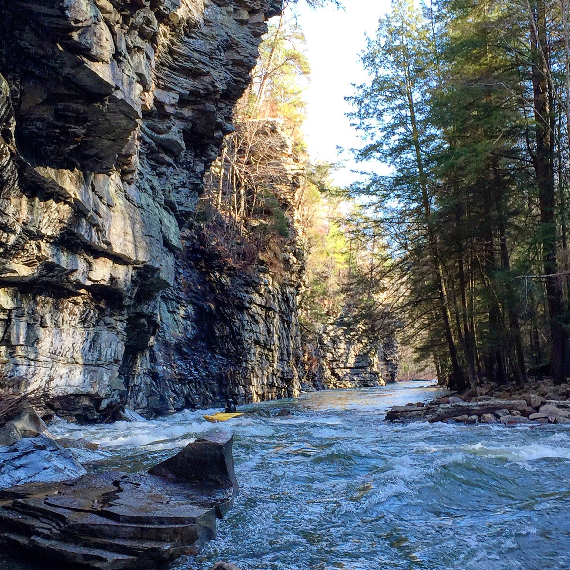 Catching a Unicorn: Paddling Tennessee’s Piney River