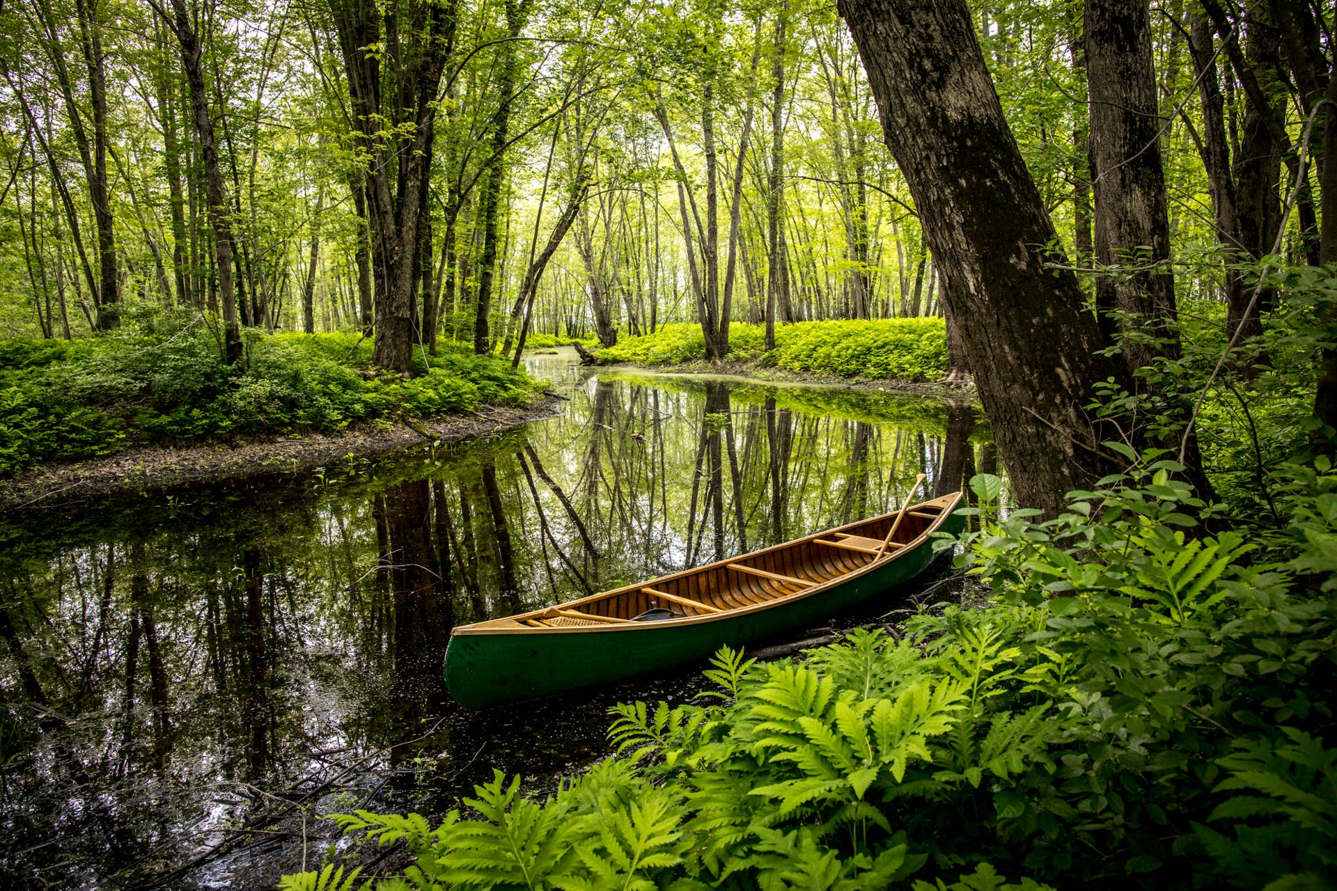 PHOTO ESSAY: Canoeing Adventures in New Brunswick
