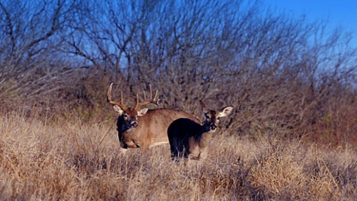 Chipper Jones Leads the Hunt at his Family's South Texas Ranch