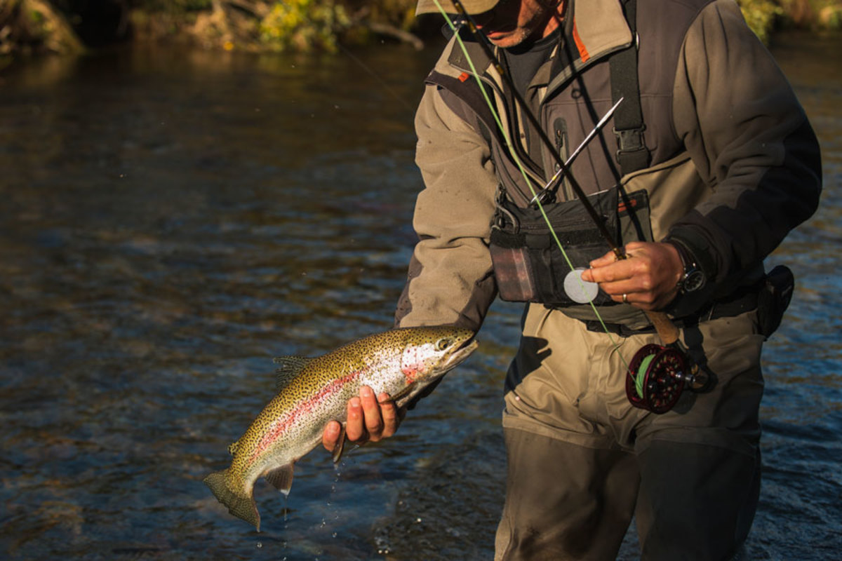 17 Reasons Why Alaska Is the Adventure Capital of the United States