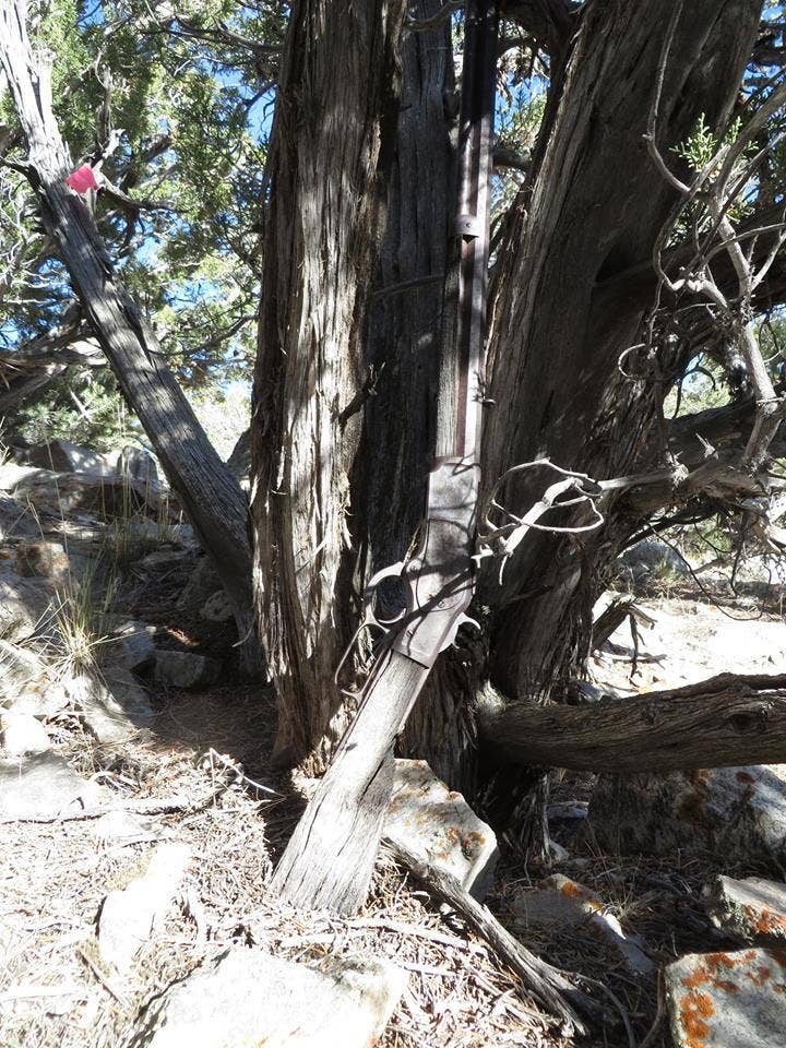 132-year-old Winchester found in national park