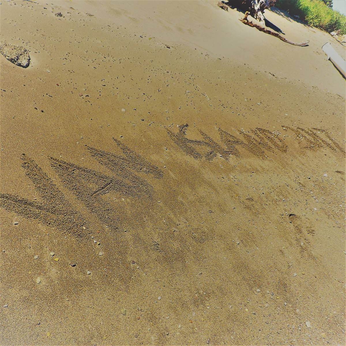 A Race for the Vancouver Island Speed Circumnavigation Record