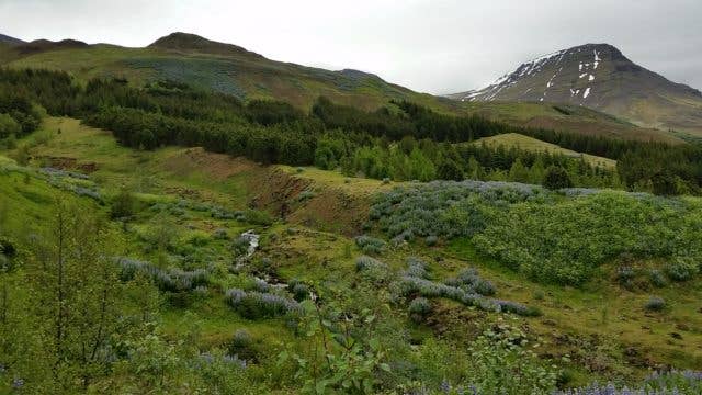A guide to 5 of the most amazing hikes in Iceland