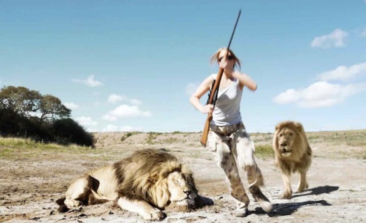 Lion gets revenge on trophy hunters, but is the video real?
