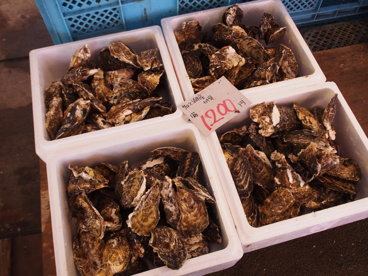 12 Tips for Serving Oysters at Home