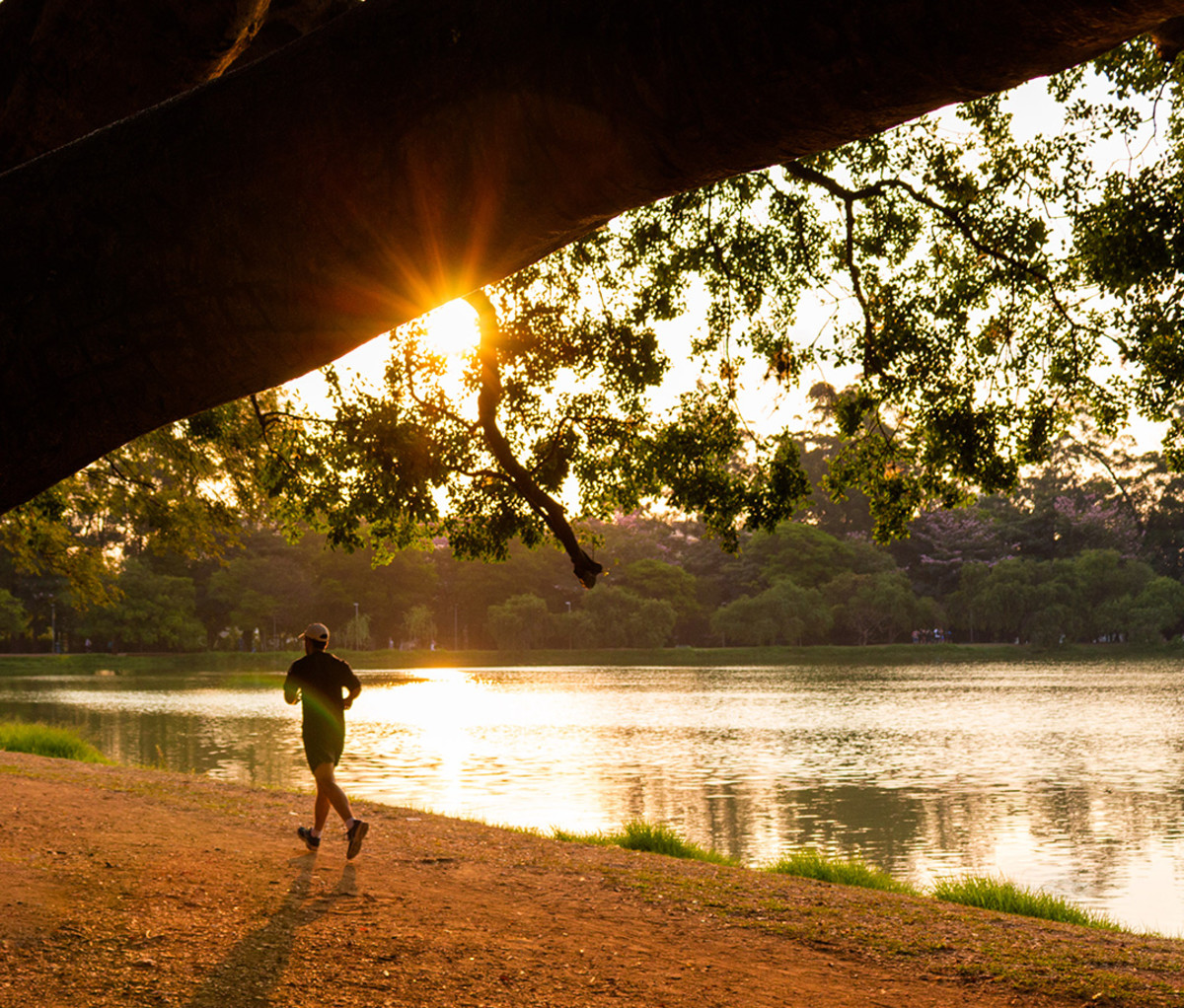 The 12 Best City Running Routes Around the World