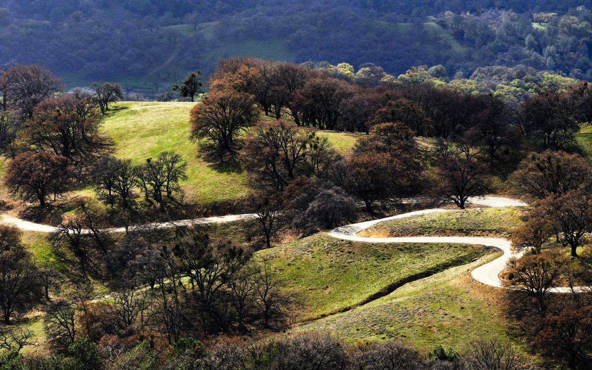 The 20 Toughest Road Bike Hill Climbs in America