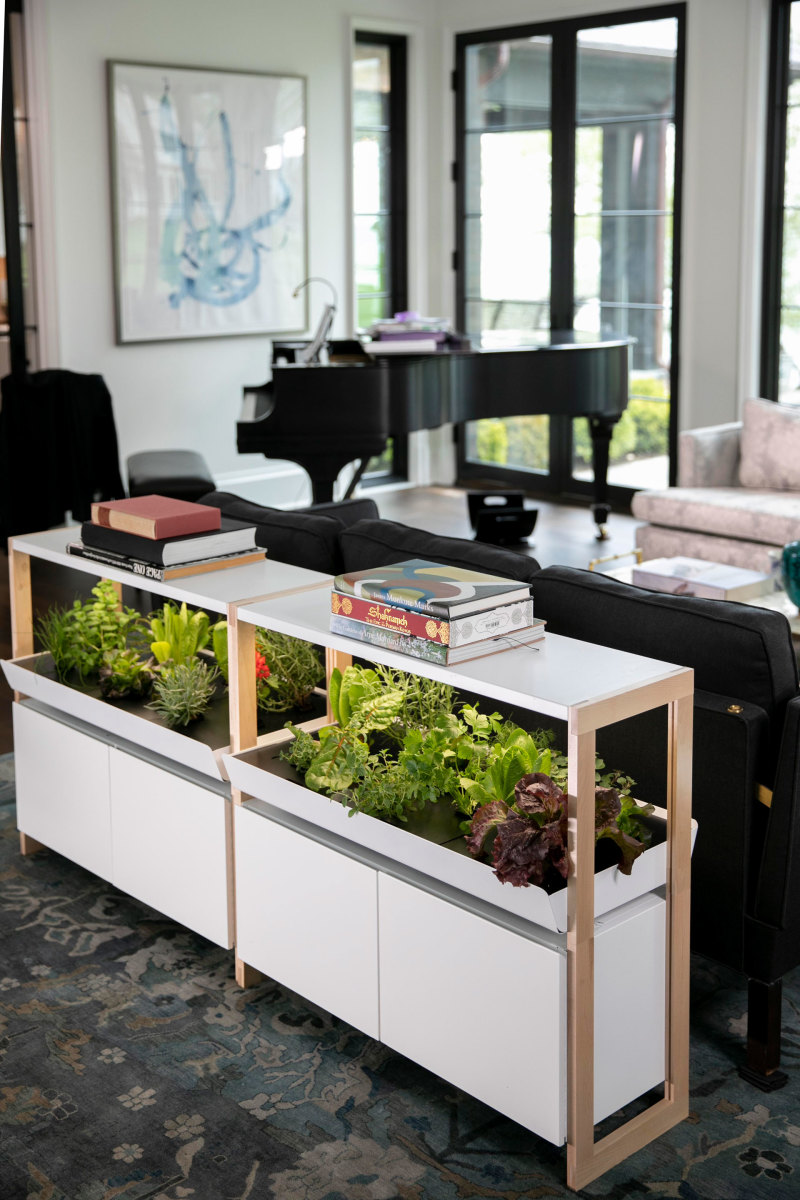 This Indoor Garden System Is the Perfect Solution for All Gardeners
