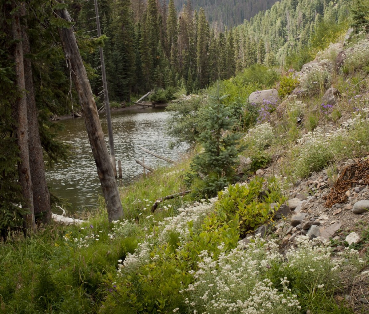 This Summer, Look Beyond National Parks and Explore Colorado National ...