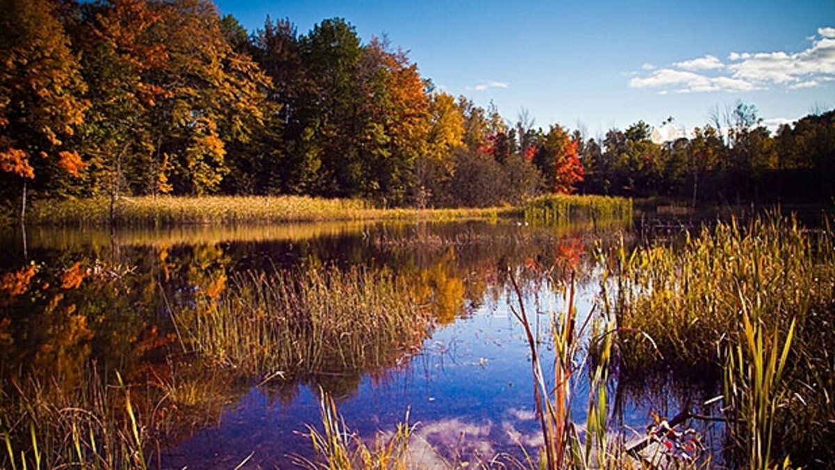 Your Trail Running Bucket List for the Fall