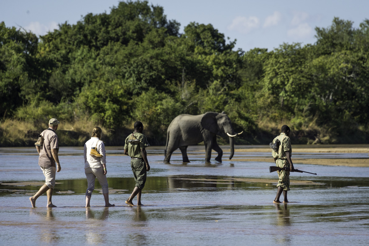 Want to Protect the World's Wildest Places? Go On Safari