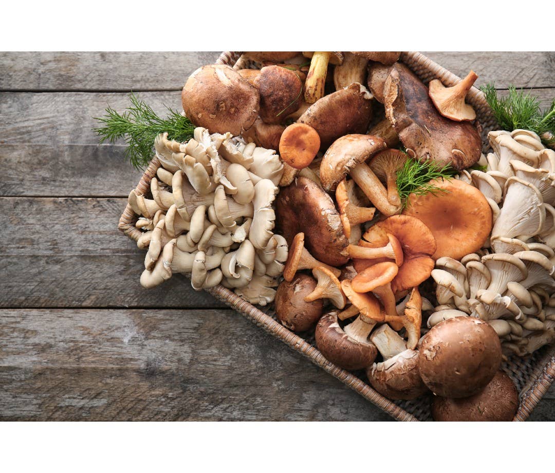 100 Best High-Protein Foods | Men's Journal