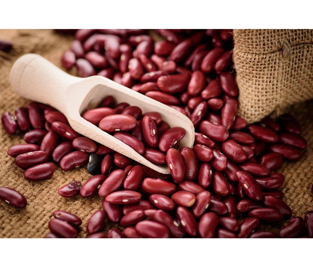 100 Best High-Protein Foods | Men's Journal