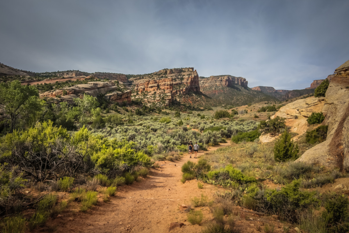 A Travel Guide to Adventuring Through Grand Junction, CO