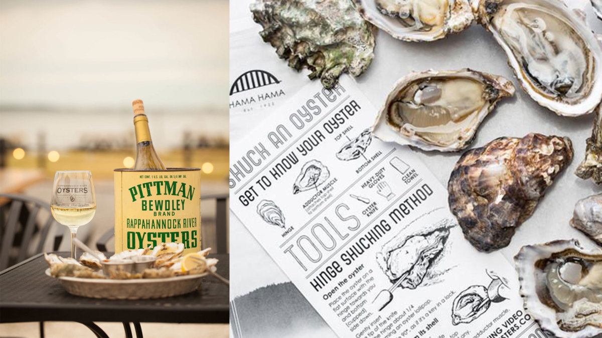 The Best Oyster Shacks in America