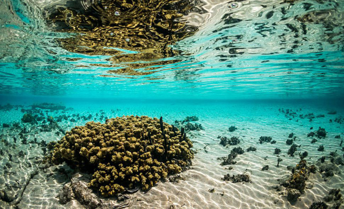 Iconic Surf Explorer Captain Martin Daly Opens Up About the ...