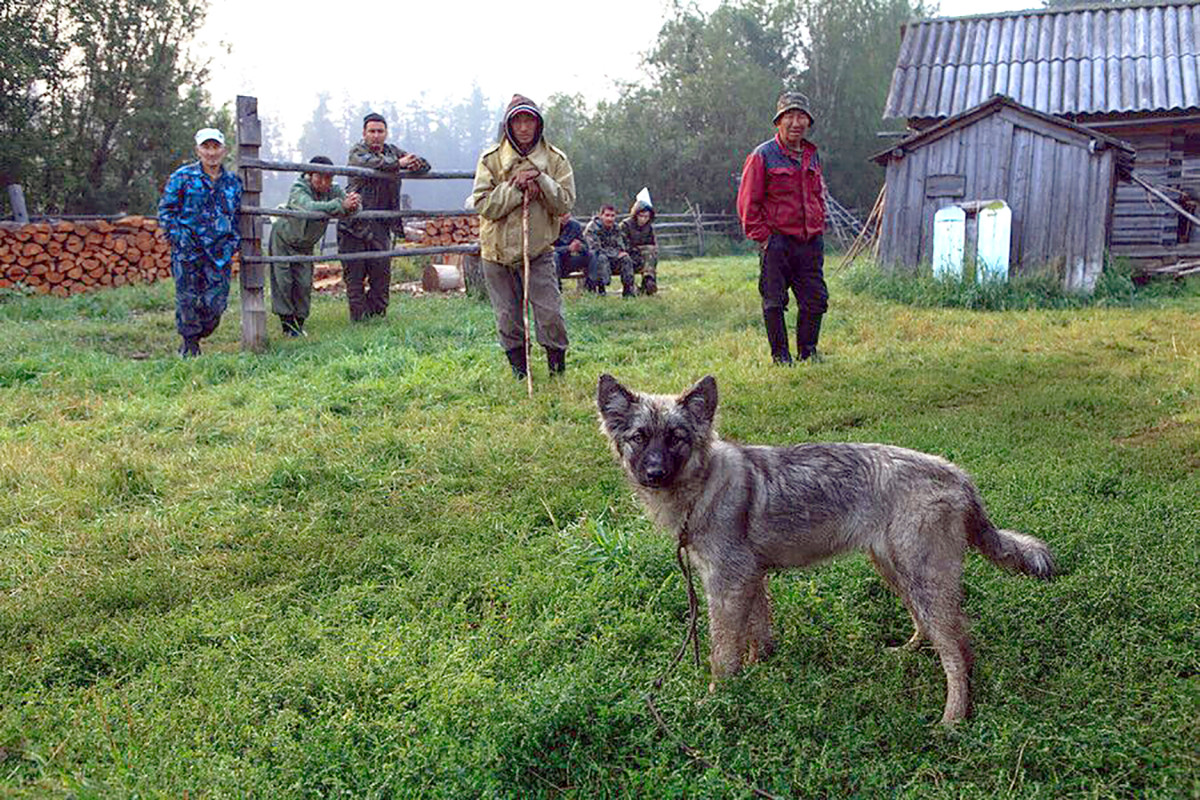 Little girl survives 11 days in Siberian forest