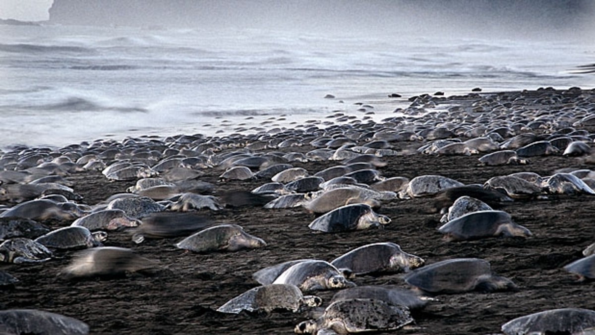 10 Wonders of Nature to Visit