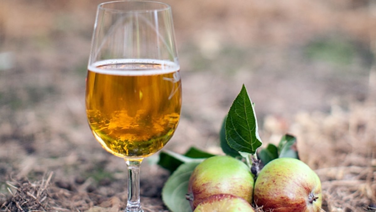 What to Do This Weekend: February 8, 2013 - Men's Journal