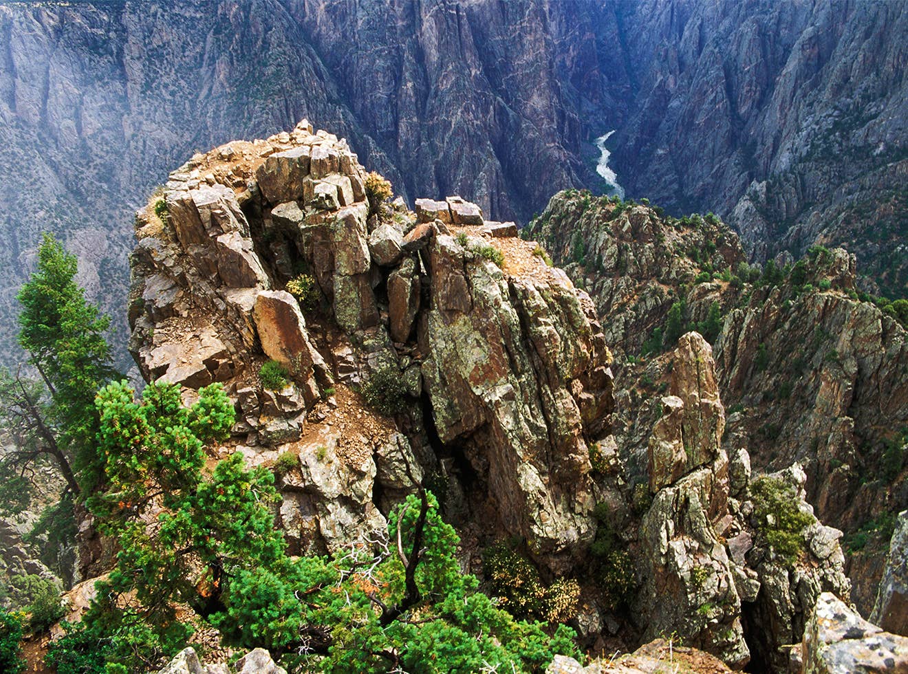 15 National Forests Perfect for Your Next Camping Trip