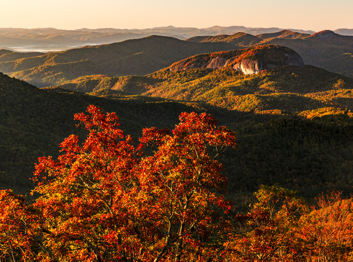 15 National Forests Perfect for Your Next Camping Trip