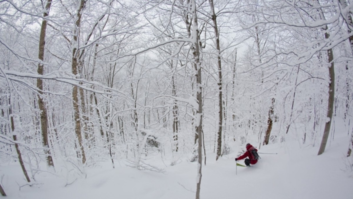 El Nino Is Coming A Guide For Skiers