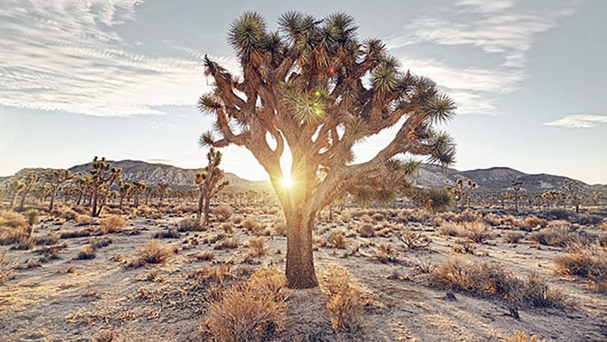 Your Guide to California's 3 New National Monuments - Men's Journal