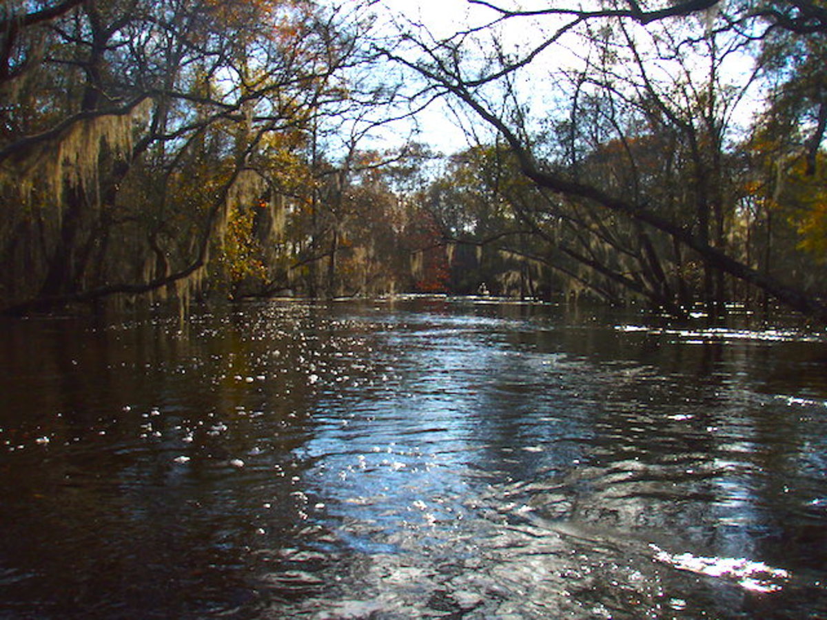 Best of Georgia: Ohoopee River