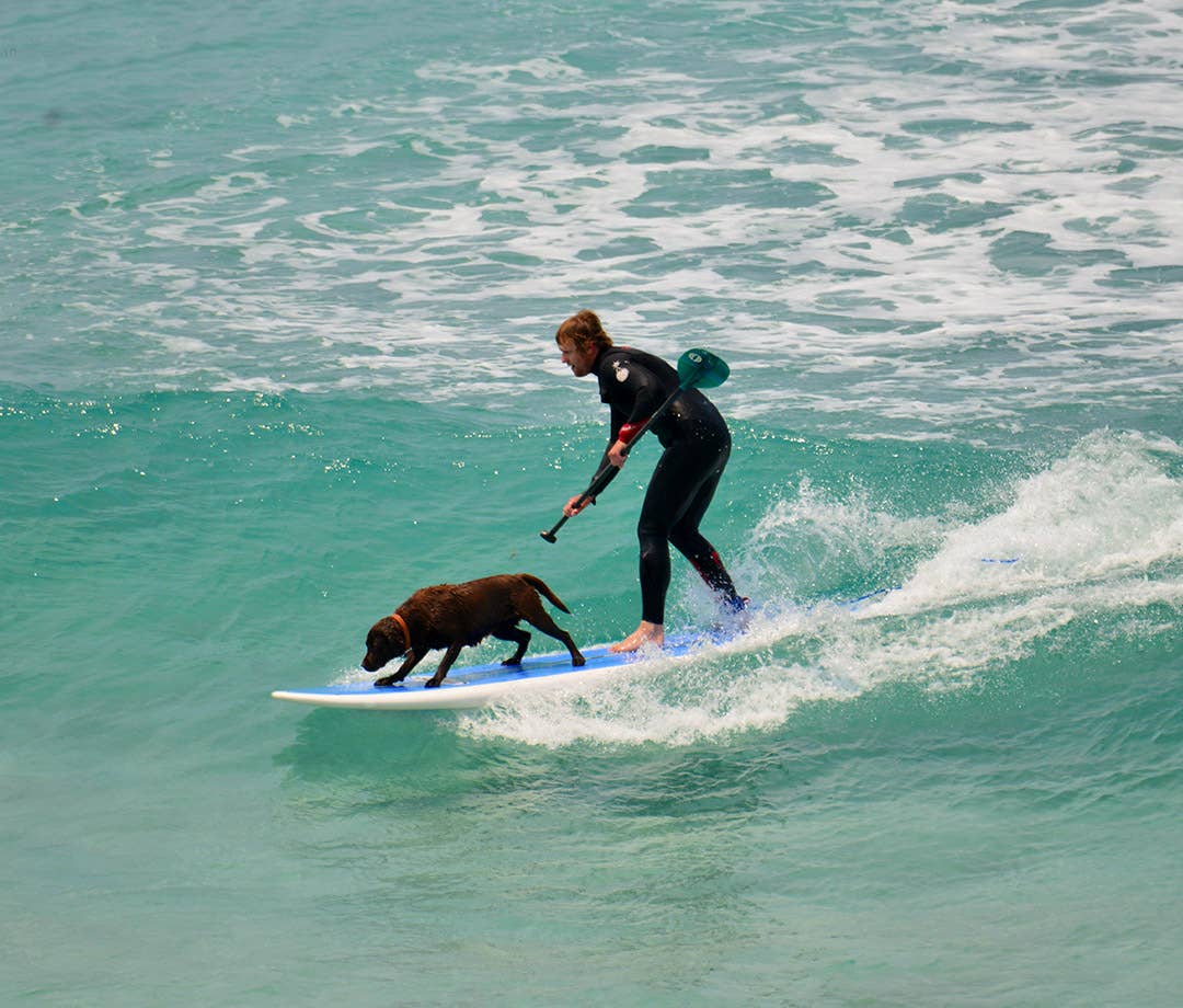 Travel Guide: 10 Reasons to Explore Kangaroo Island in Australia