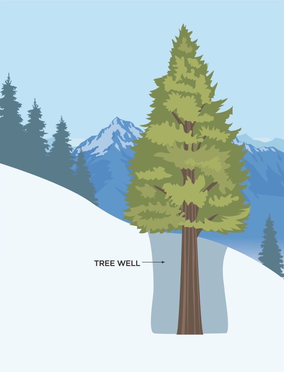 Ski Safety 101: How to Minimize the Danger of Tree Wells