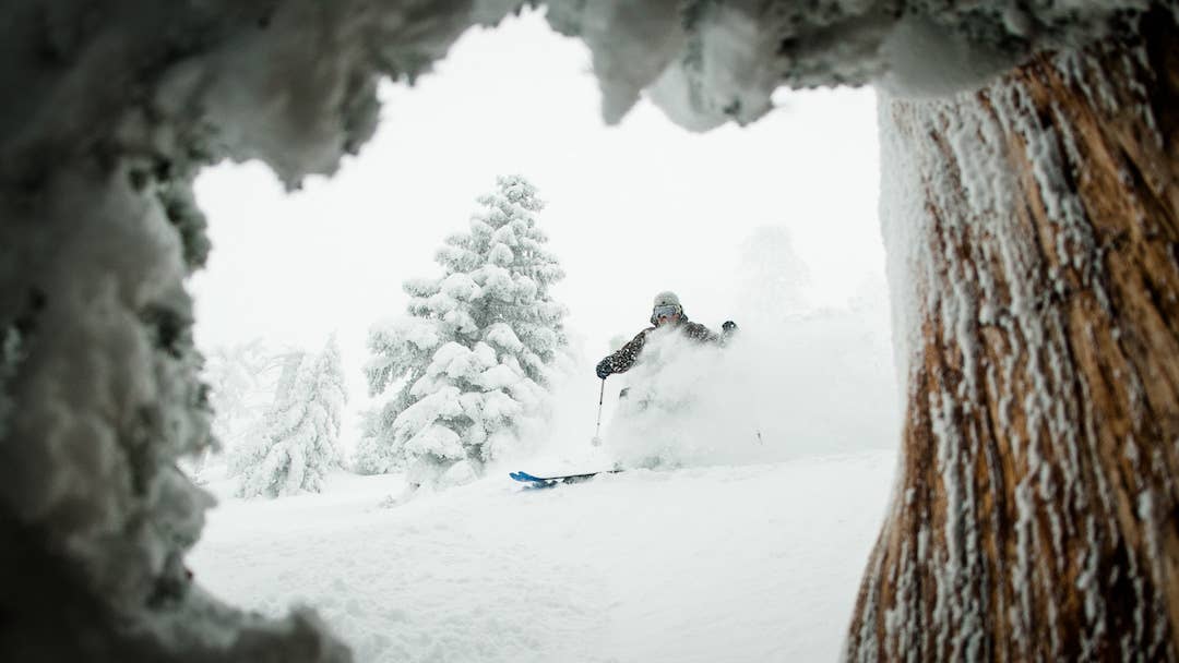 Ski Safety 101: How to Minimize the Danger of Tree Wells