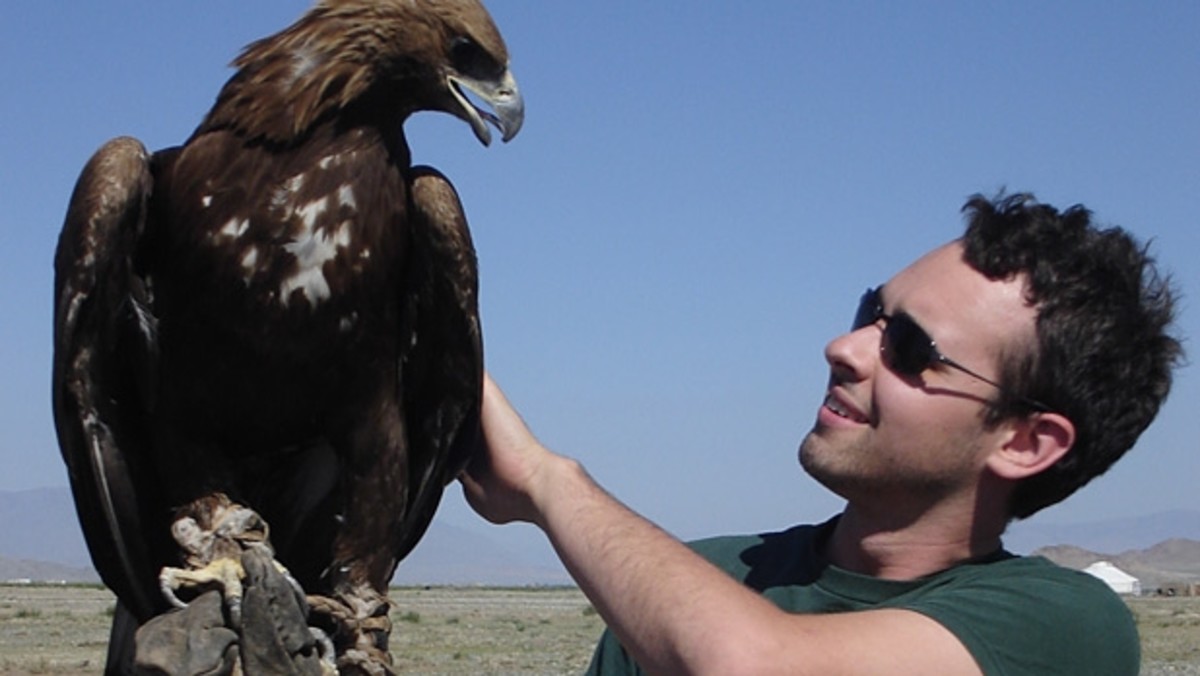 'Cosmos' Consultant Matt Siegler Q&A