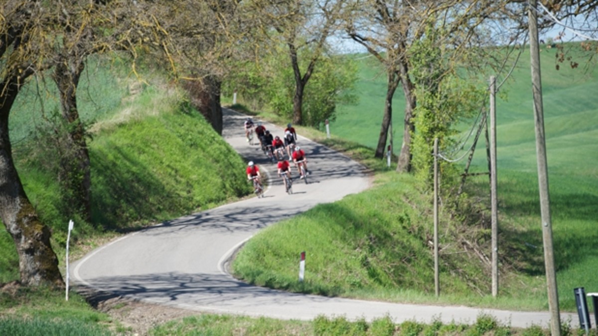 Cycle Portugal's Wine Country