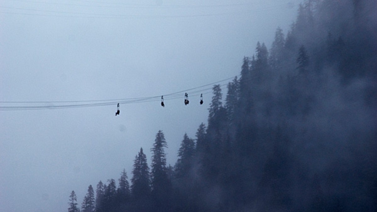 The Best Zipline Tours in America