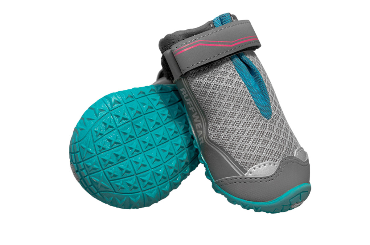 Go, Dog, Go! Essential Gear for An Adventure Dog