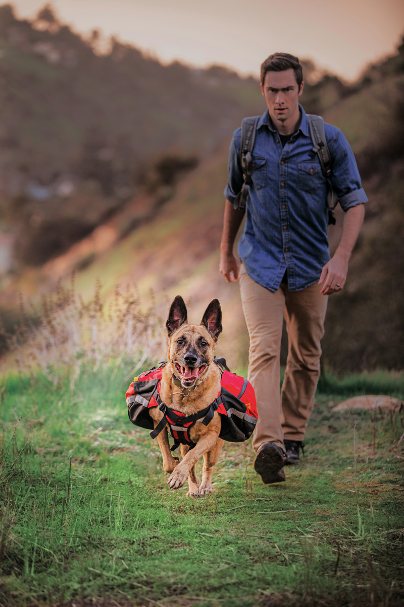 Go, Dog, Go! Essential Gear for An Adventure Dog