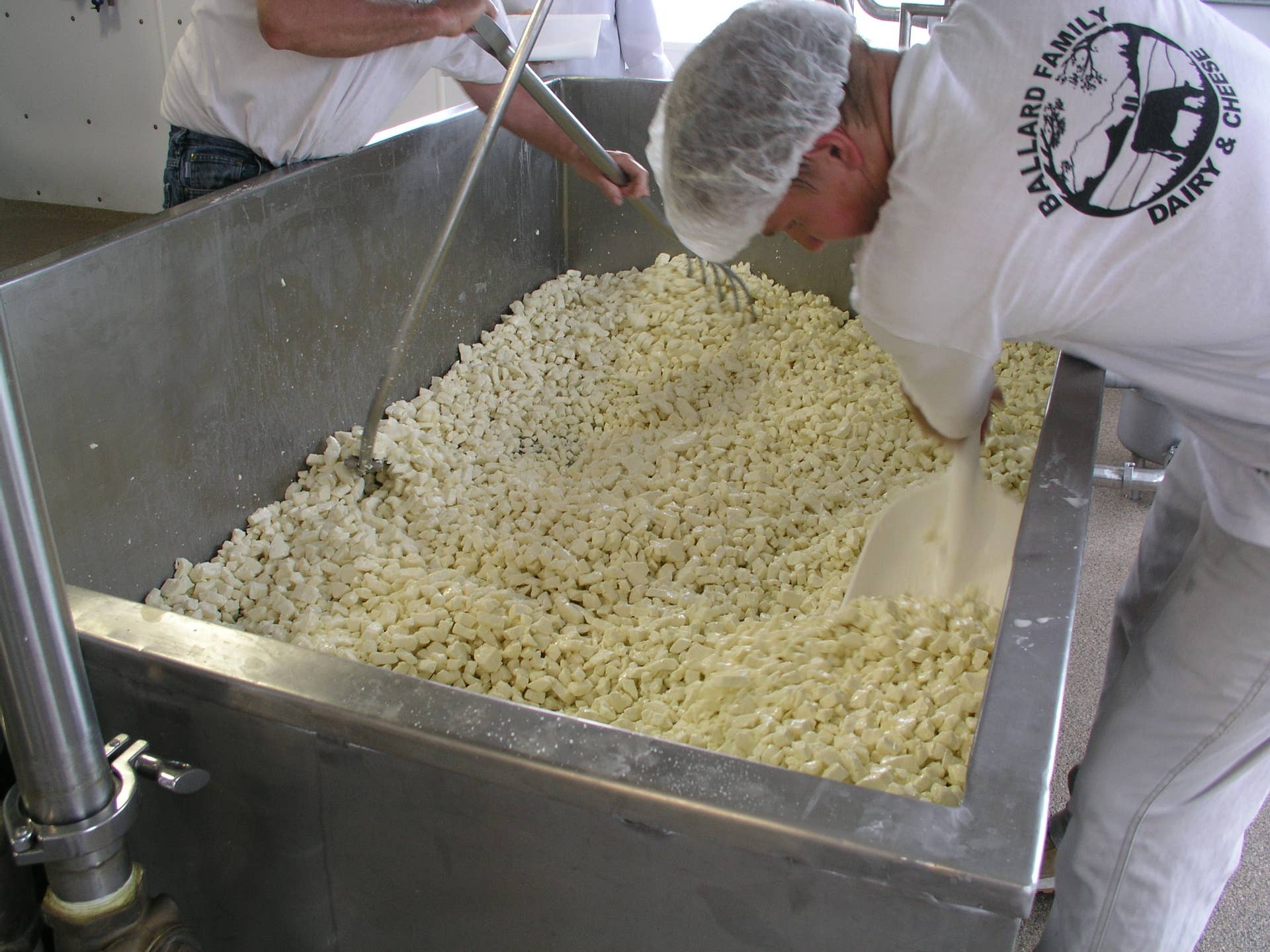 49 Best American Cheeses