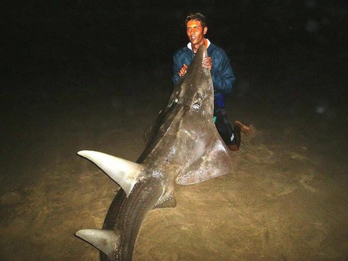 Angler lands record-size giant guitarfish - Men's Journal