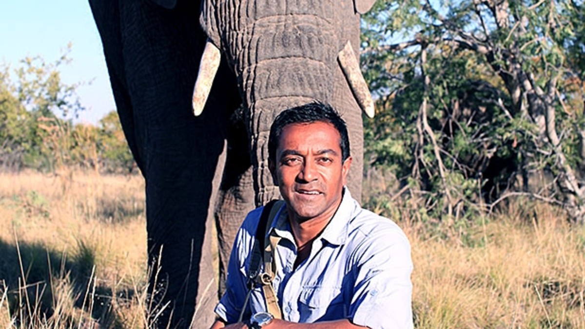 Earth: A New Wild - A Nature Documentary That Could Actually Make a ...