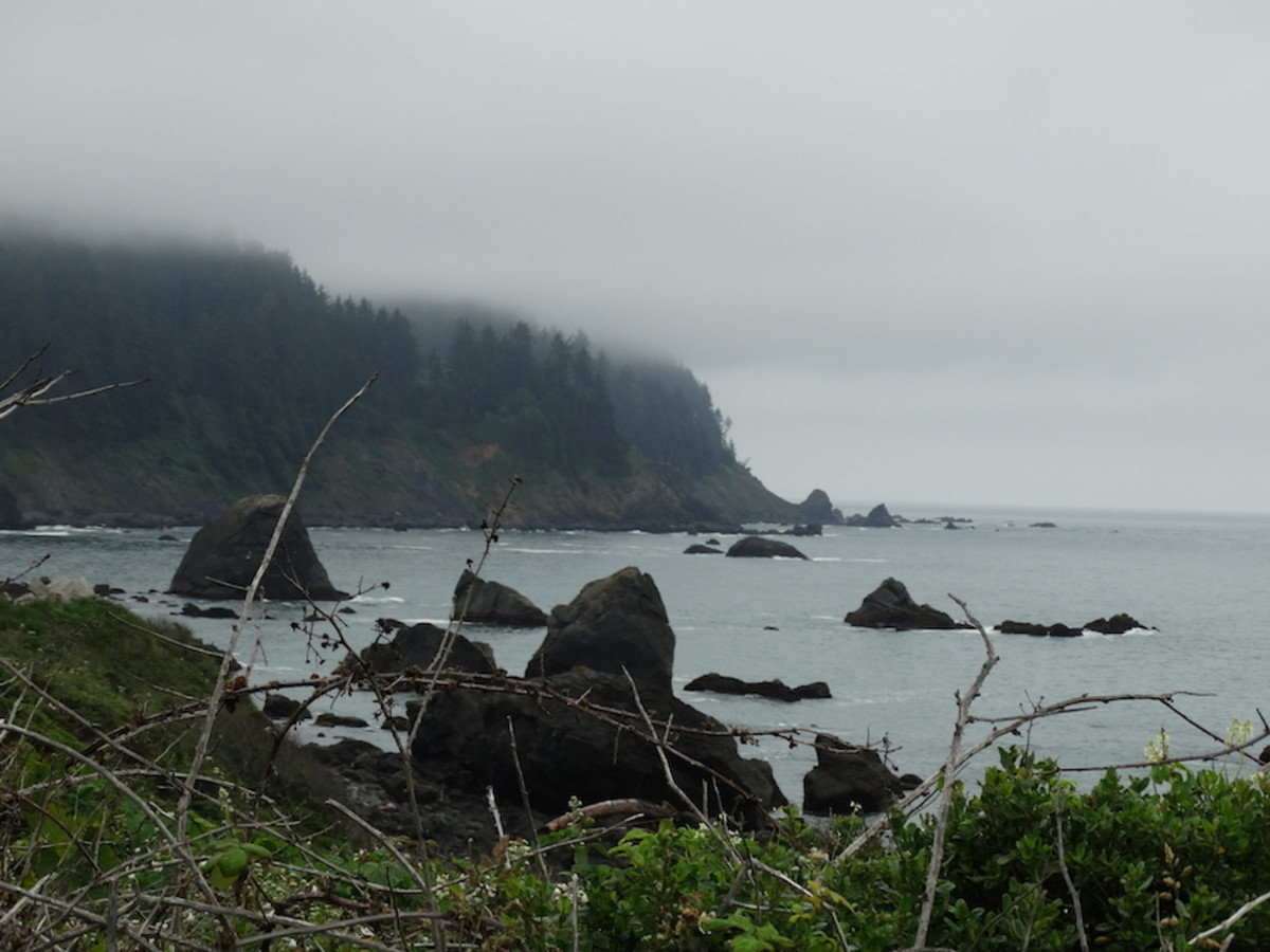 North Coast Series: The Dangerous Beauty of the North Coast