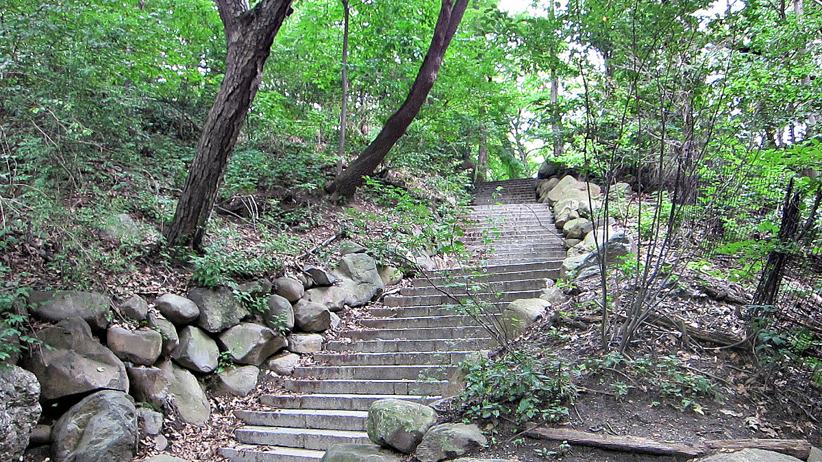 8 urban hikes in New York City perfect for spring