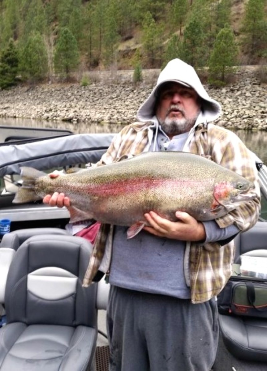 Rainbow trout is huge, but record is safe
