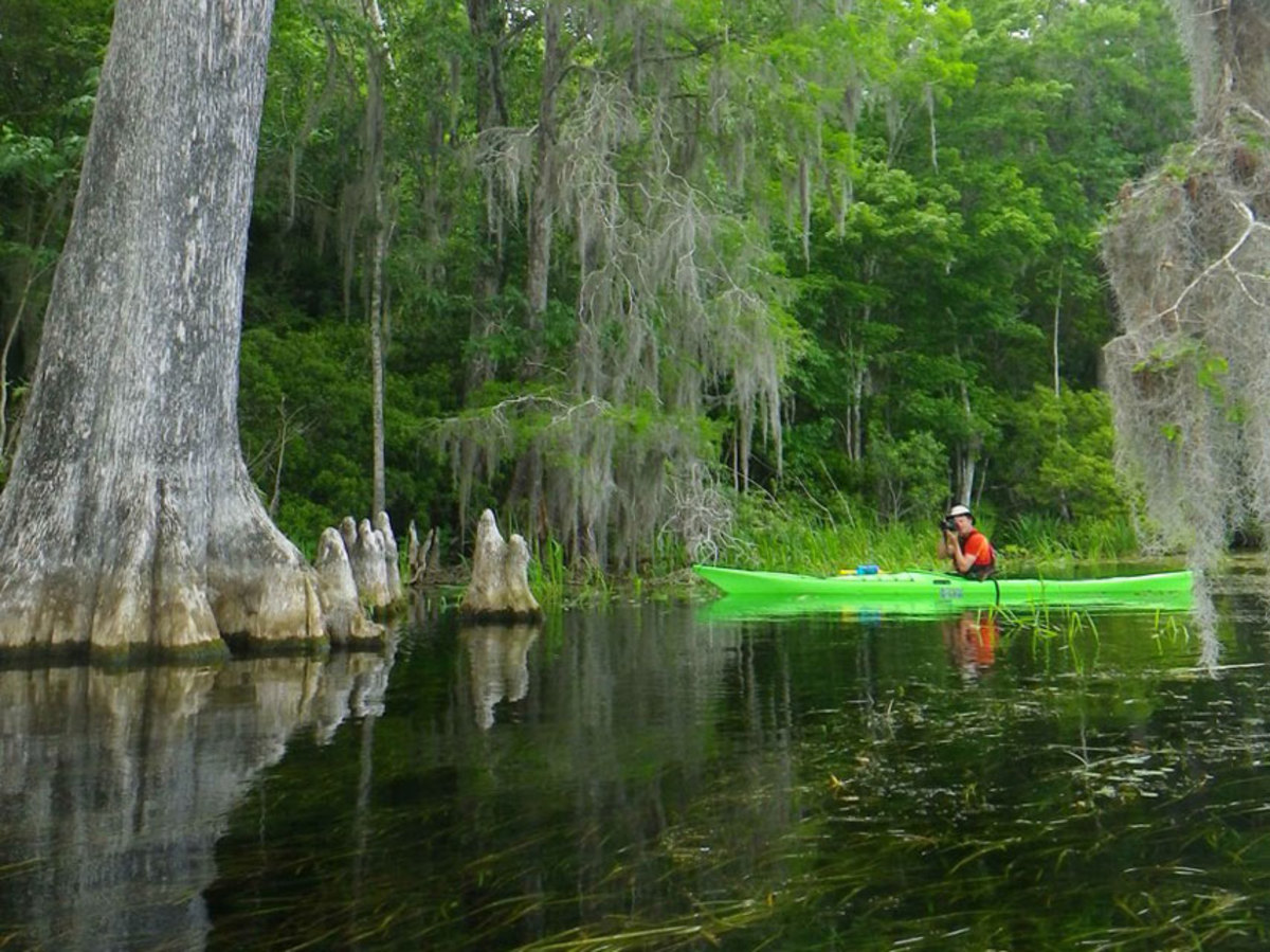 Meet a Water Trail: Florida's Circumnavigational Trail