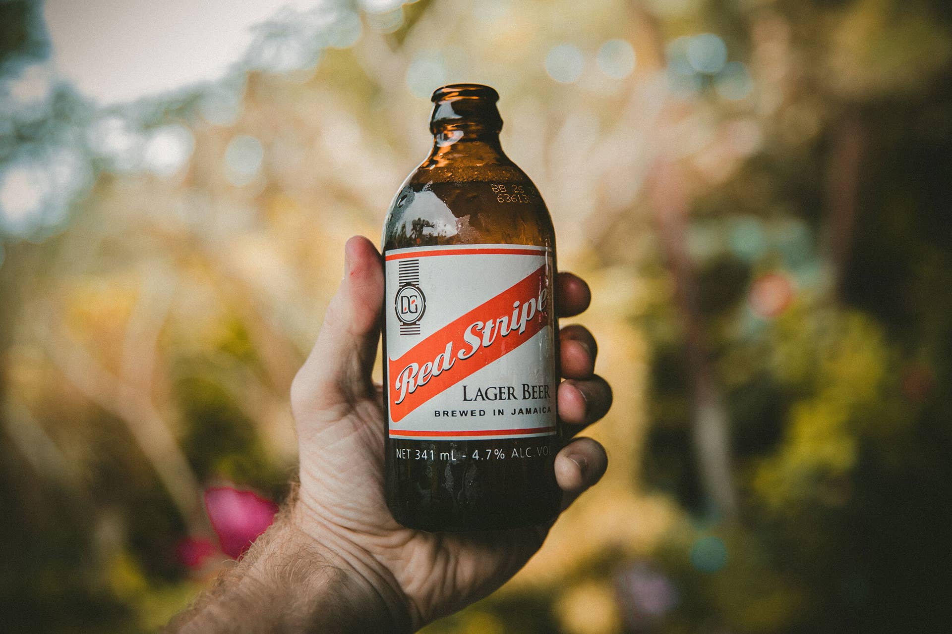 Is Beer the Secret to Boosting Your Gut's Microbiome?