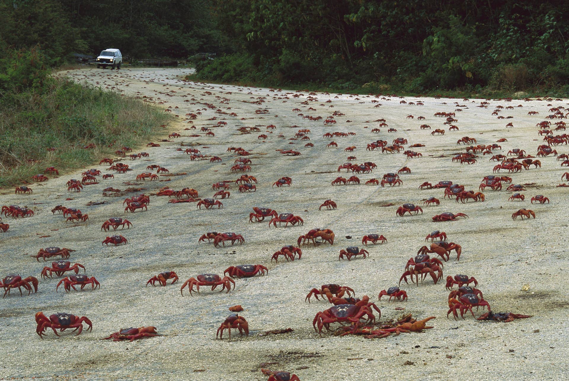10 Natural Wonders Worth Traveling to See