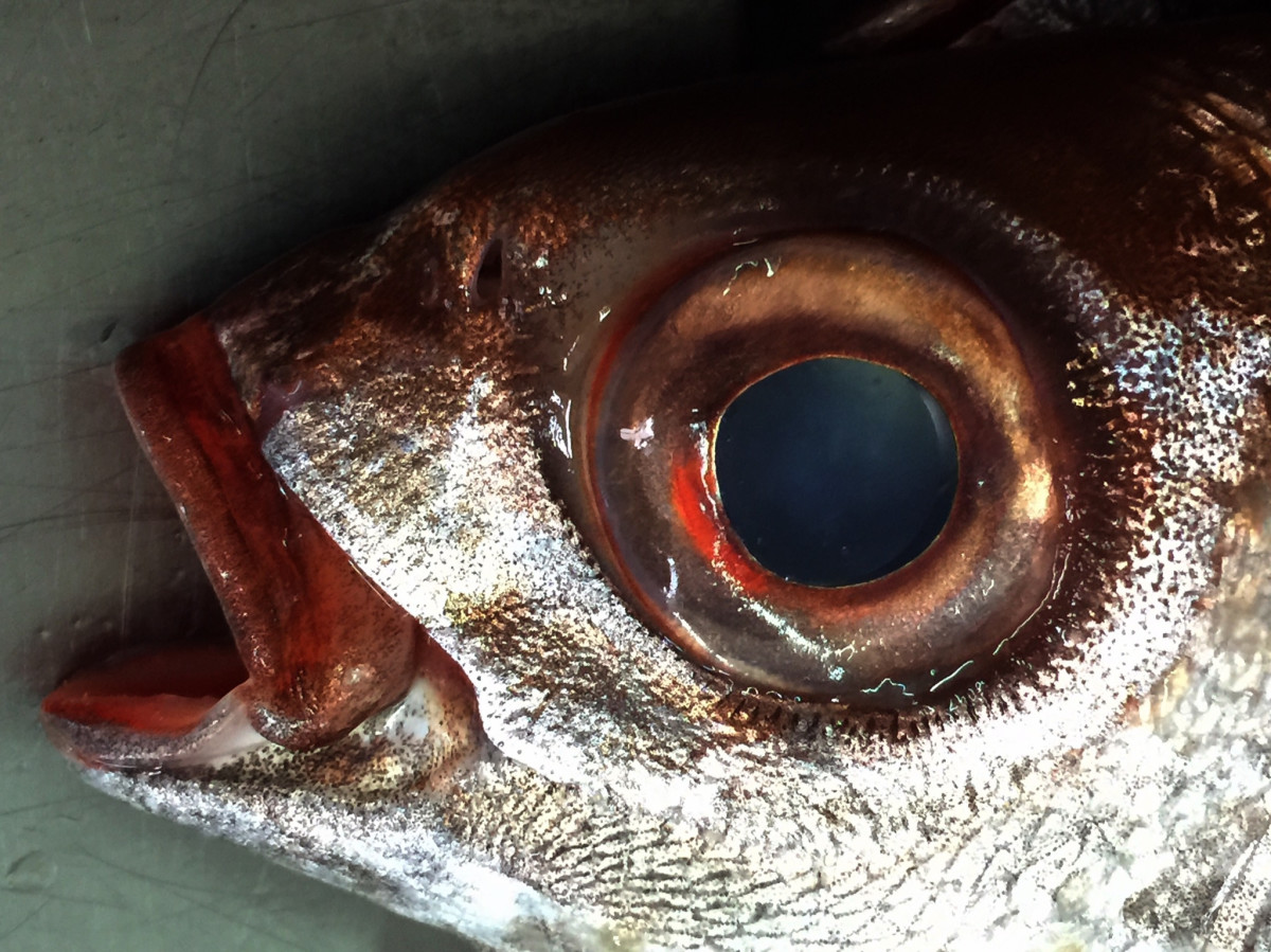 10 Natural Wonders Worth Traveling to See